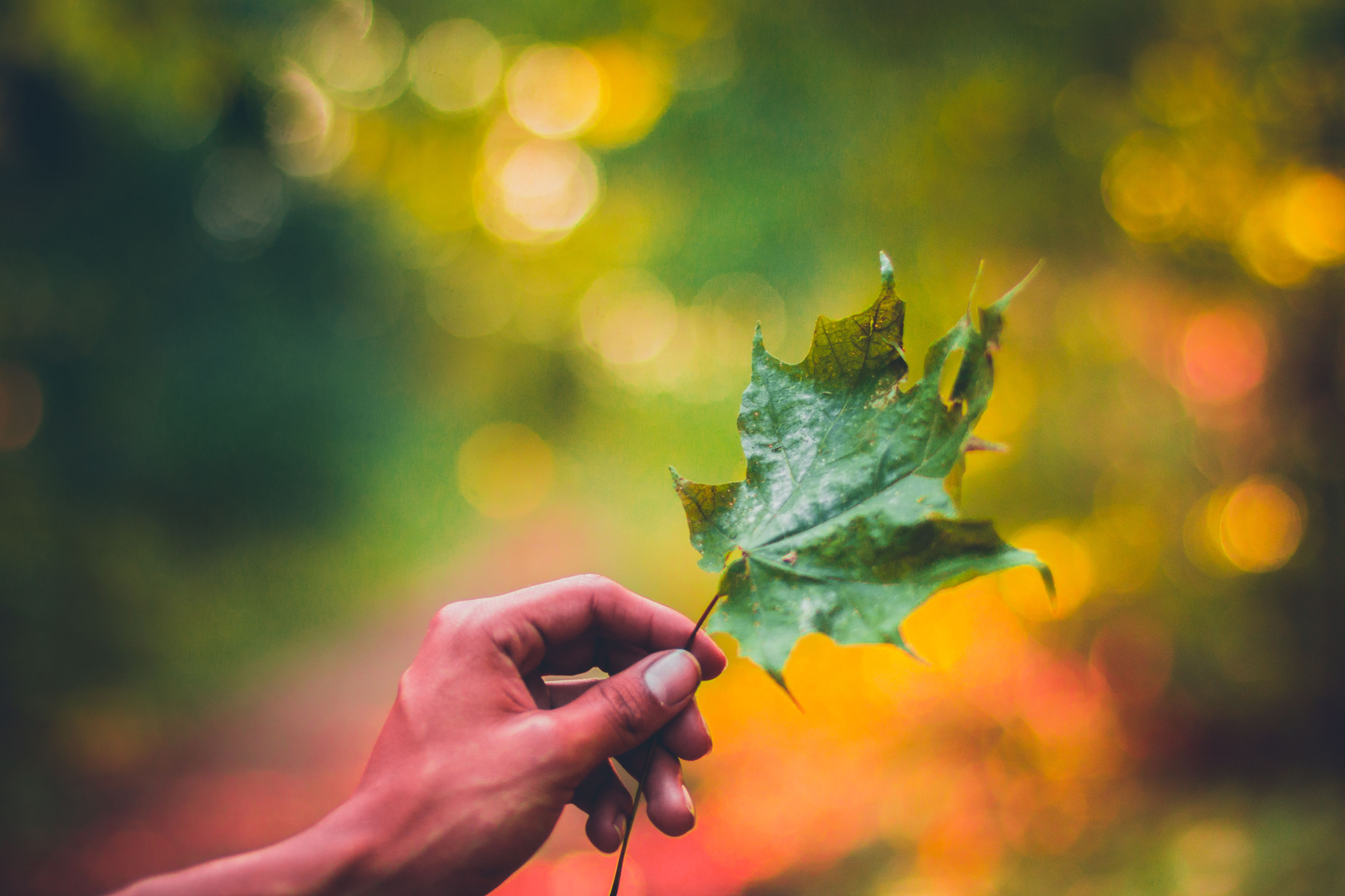 Fall Poses for Instagram